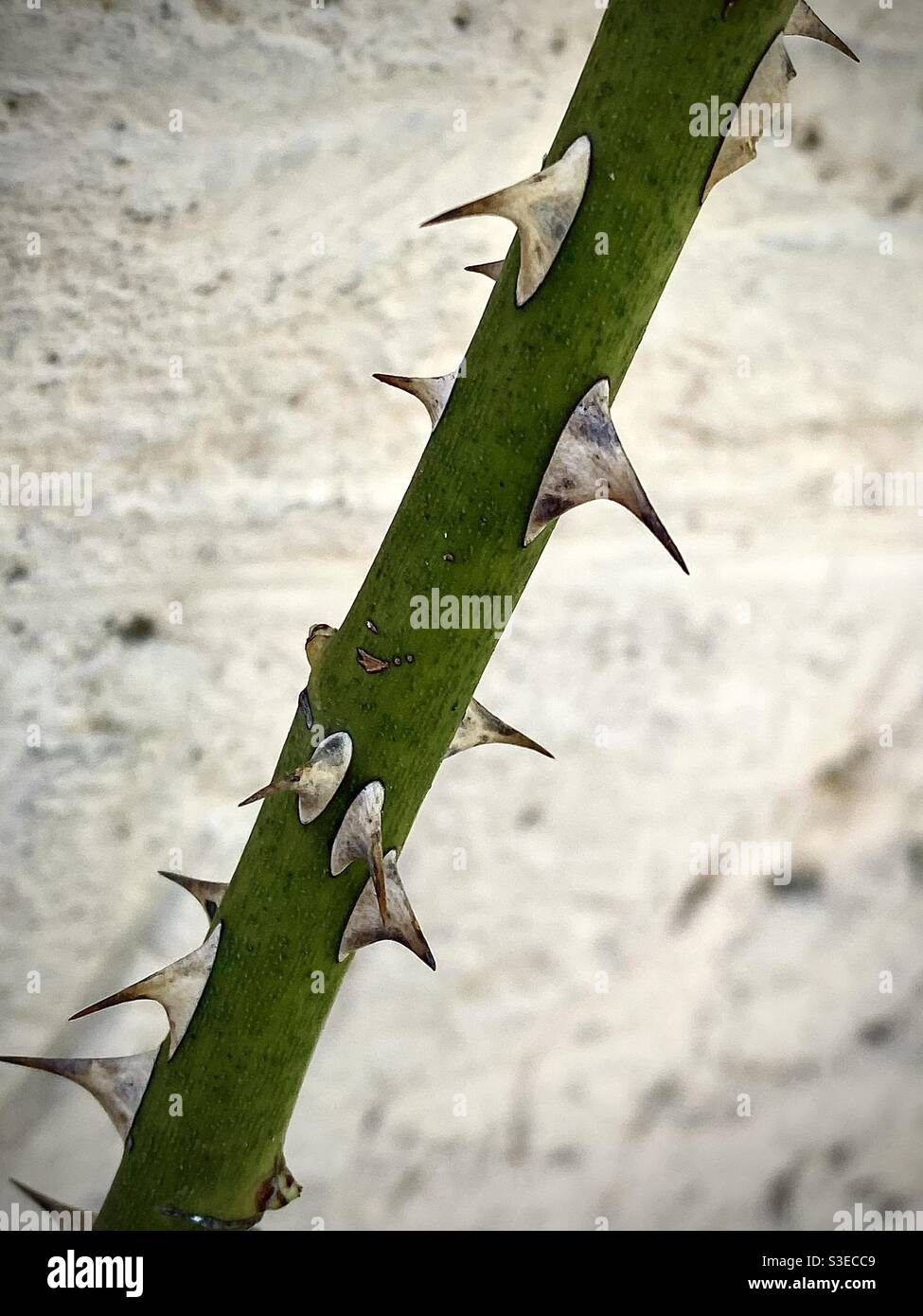 Psicology hi-res stock photography and images - Alamy