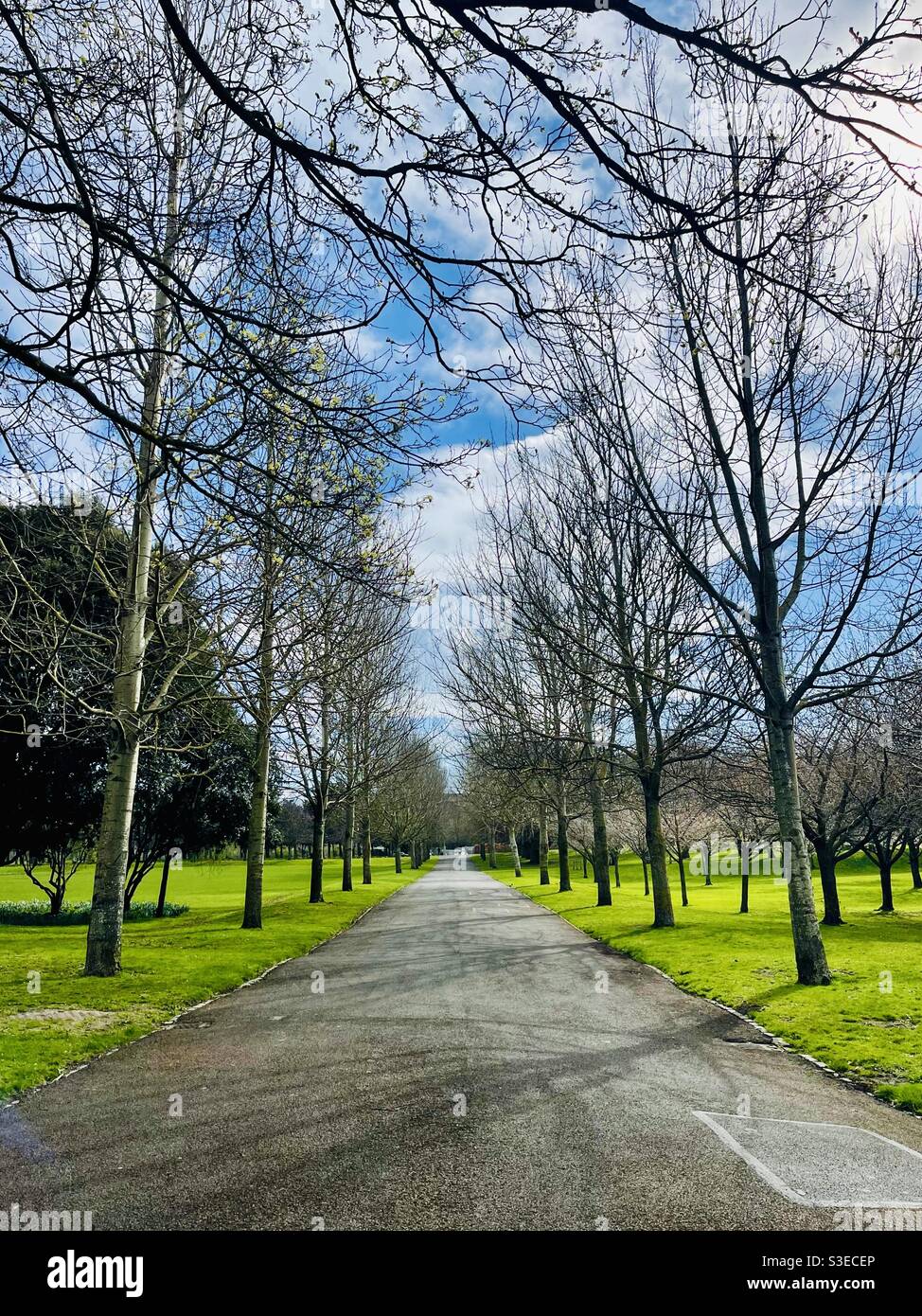 Spring park trees hi-res stock photography and images - Alamy