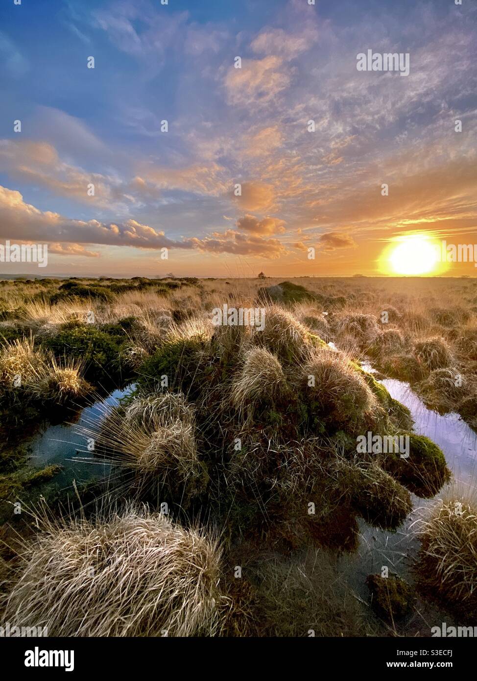 Bog sunset hi-res stock photography and images - Alamy