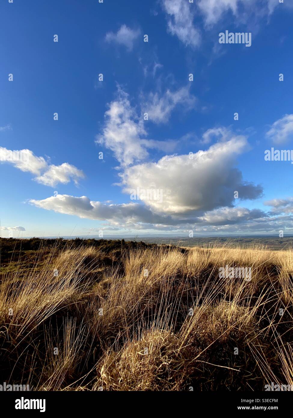 Cloud duck hi-res stock photography and images - Alamy