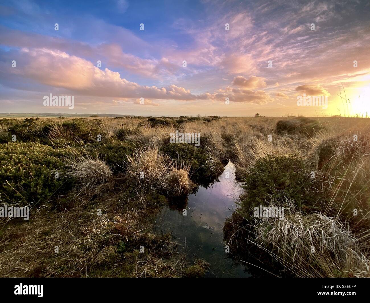 Bog sunset hi-res stock photography and images - Alamy