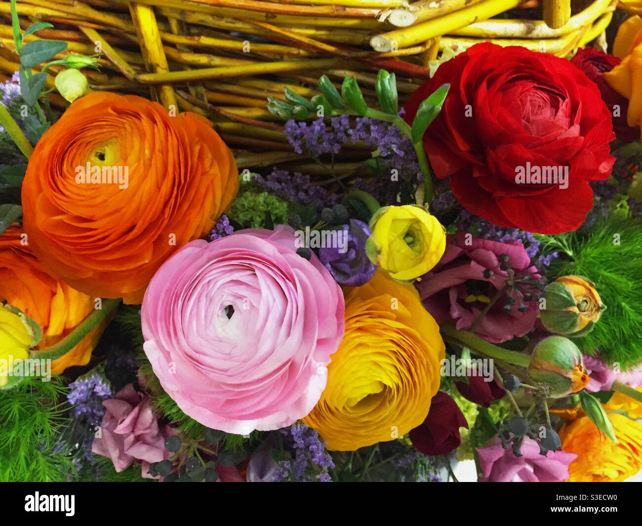 Beautiful spring flower bouquet Stock Photo - Alamy
