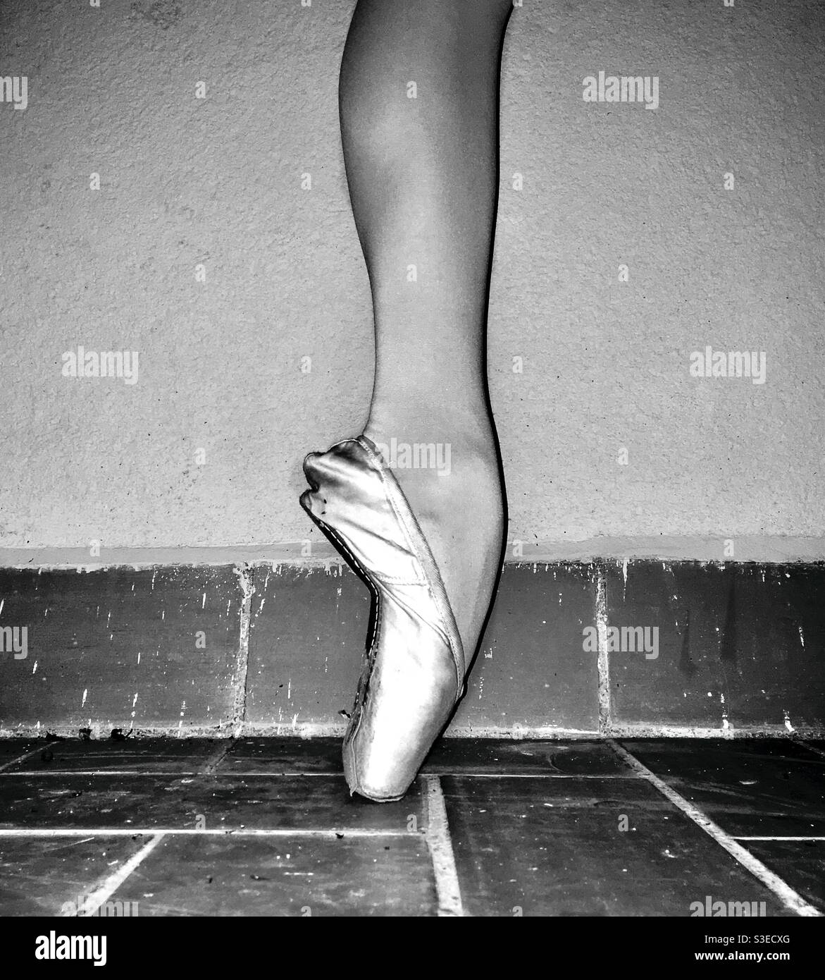 Ballet shoe foot hi-res stock photography and images - Alamy