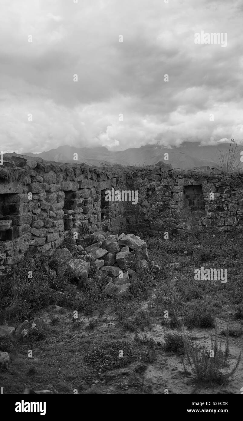 Sipe sipe hi-res stock photography and images - Alamy