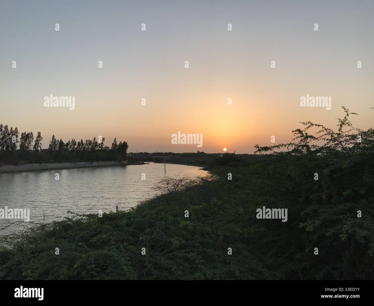 Riverside trees hi-res stock photography and images - Alamy