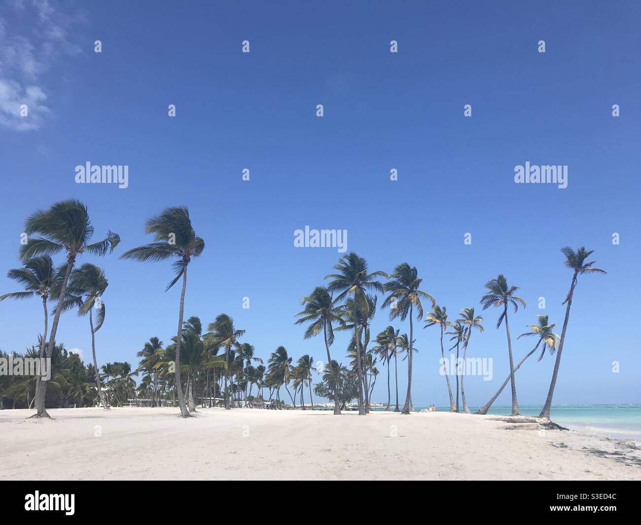 Windy beach hi-res stock photography and images - Alamy