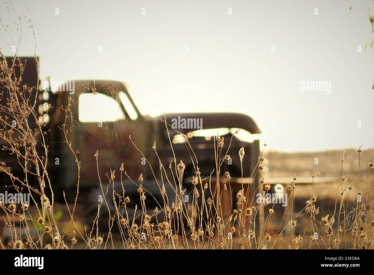 Golden truck hi-res stock photography and images - Alamy