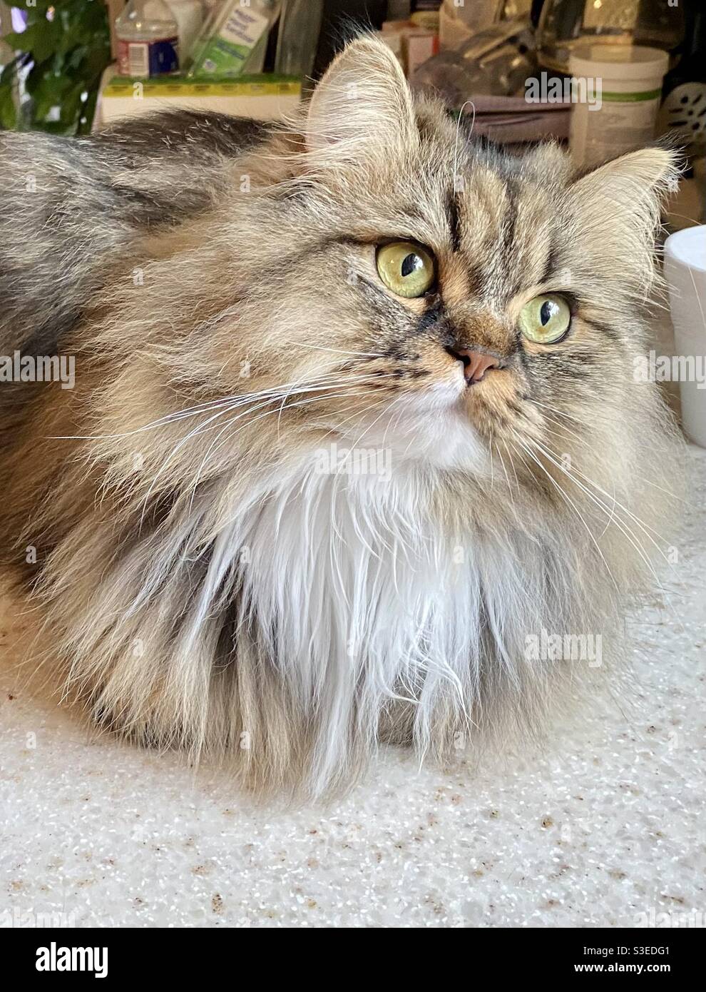 Big eyes handsome hi-res stock photography and images - Alamy