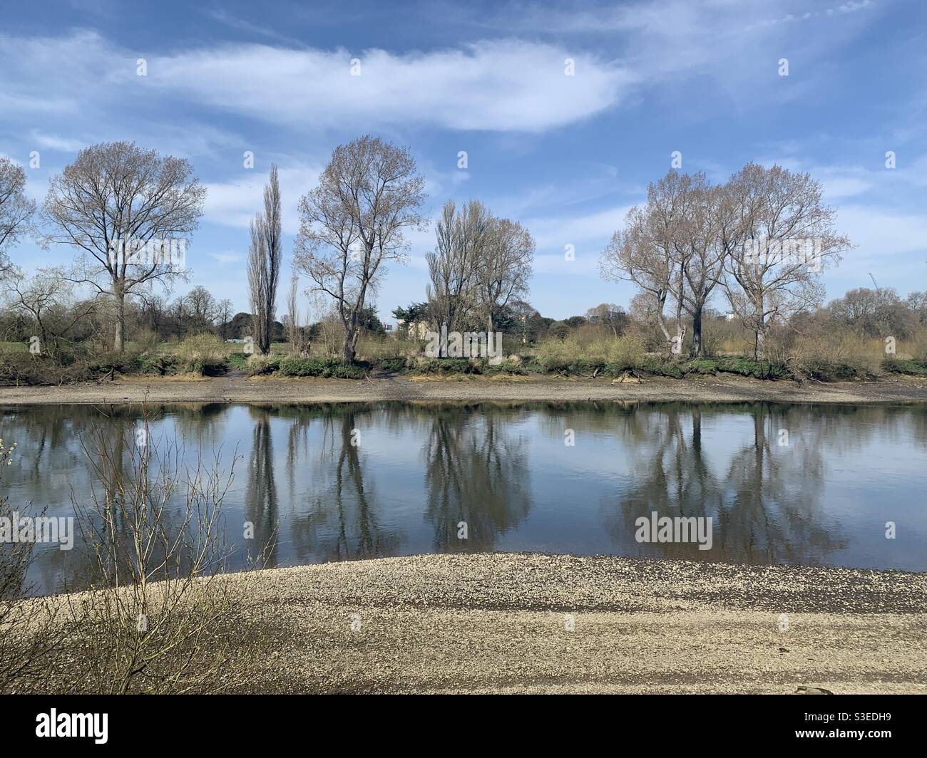 River Thames at Chiswick reflection with trees Stock Photo - Alamy
