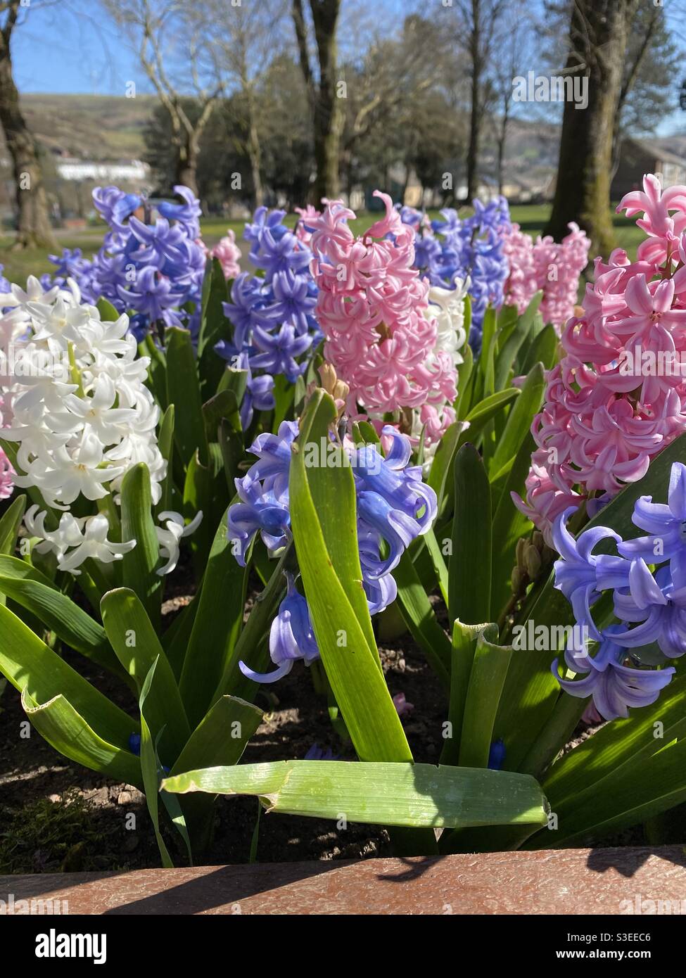 New sprung hi-res stock photography and images - Alamy