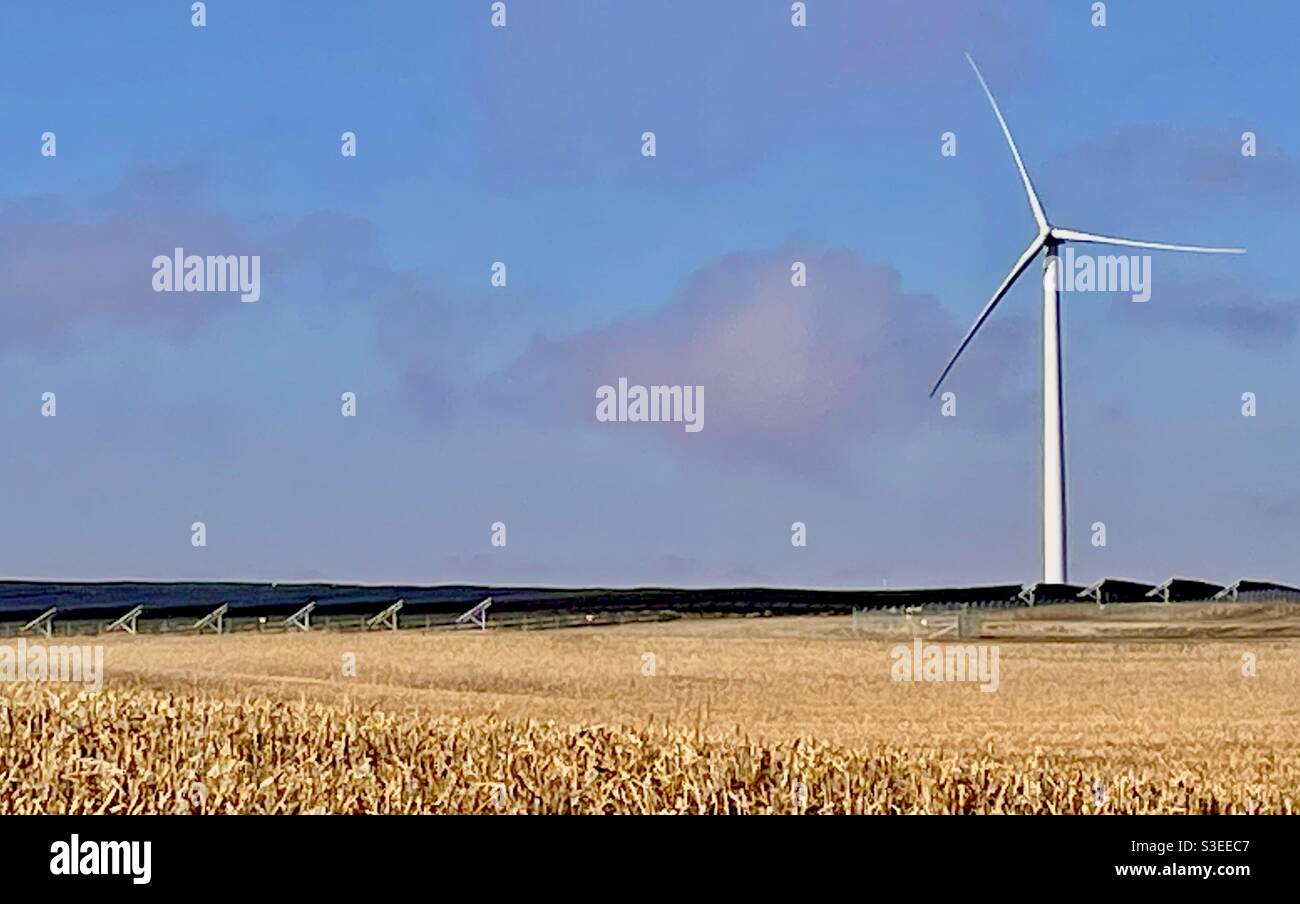 Morning energy hi-res stock photography and images - Alamy