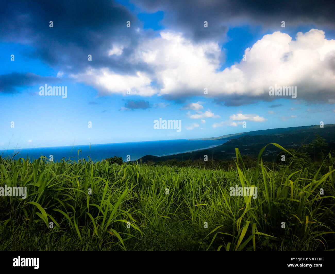 Taking a drive in the countryside Stock Photo - Alamy