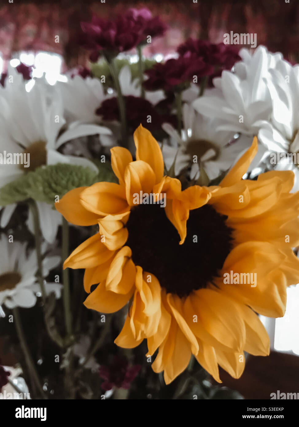 Heart shaped sunflower hi-res stock photography and images - Alamy