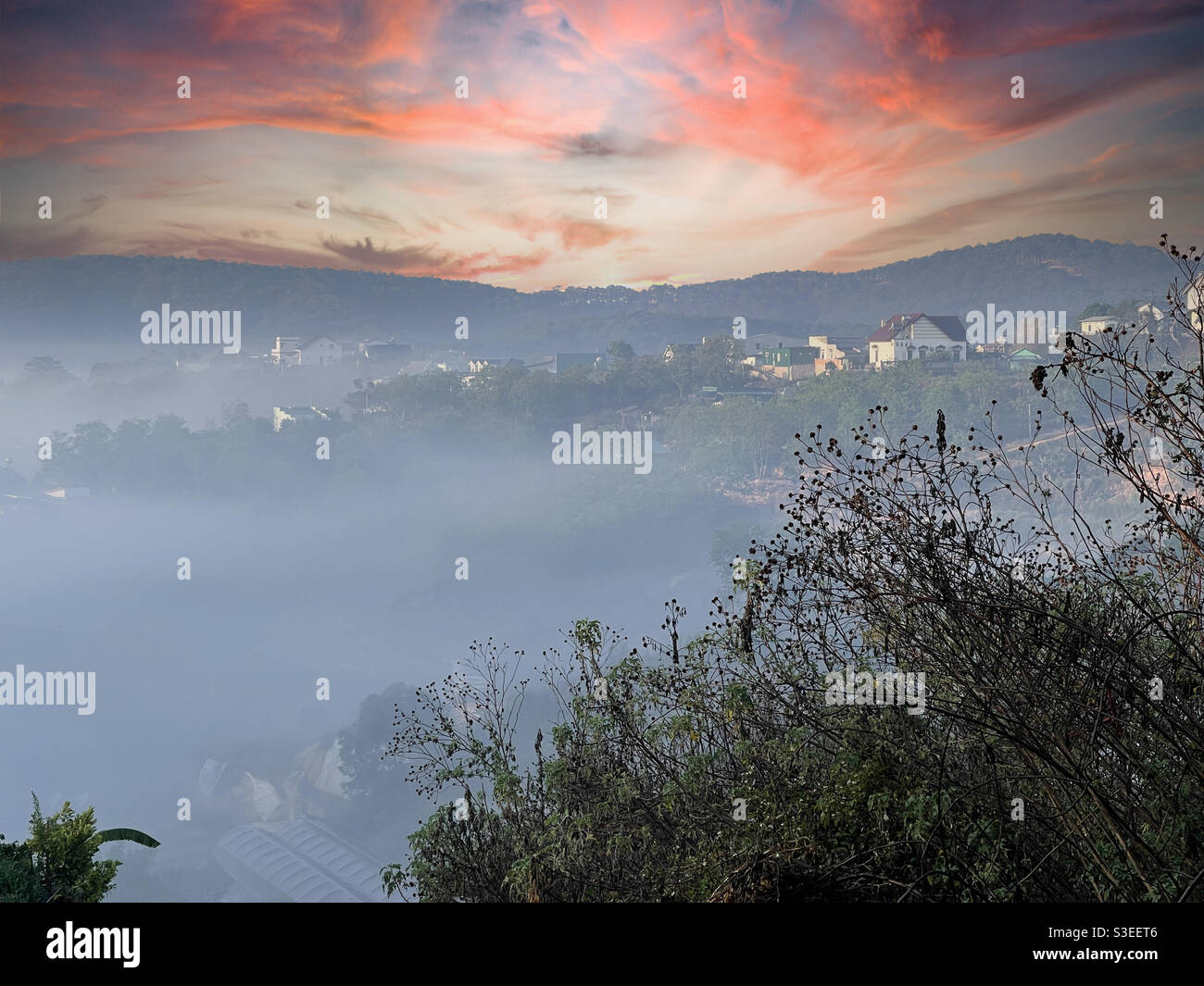 Dawn dew hi-res stock photography and images - Alamy