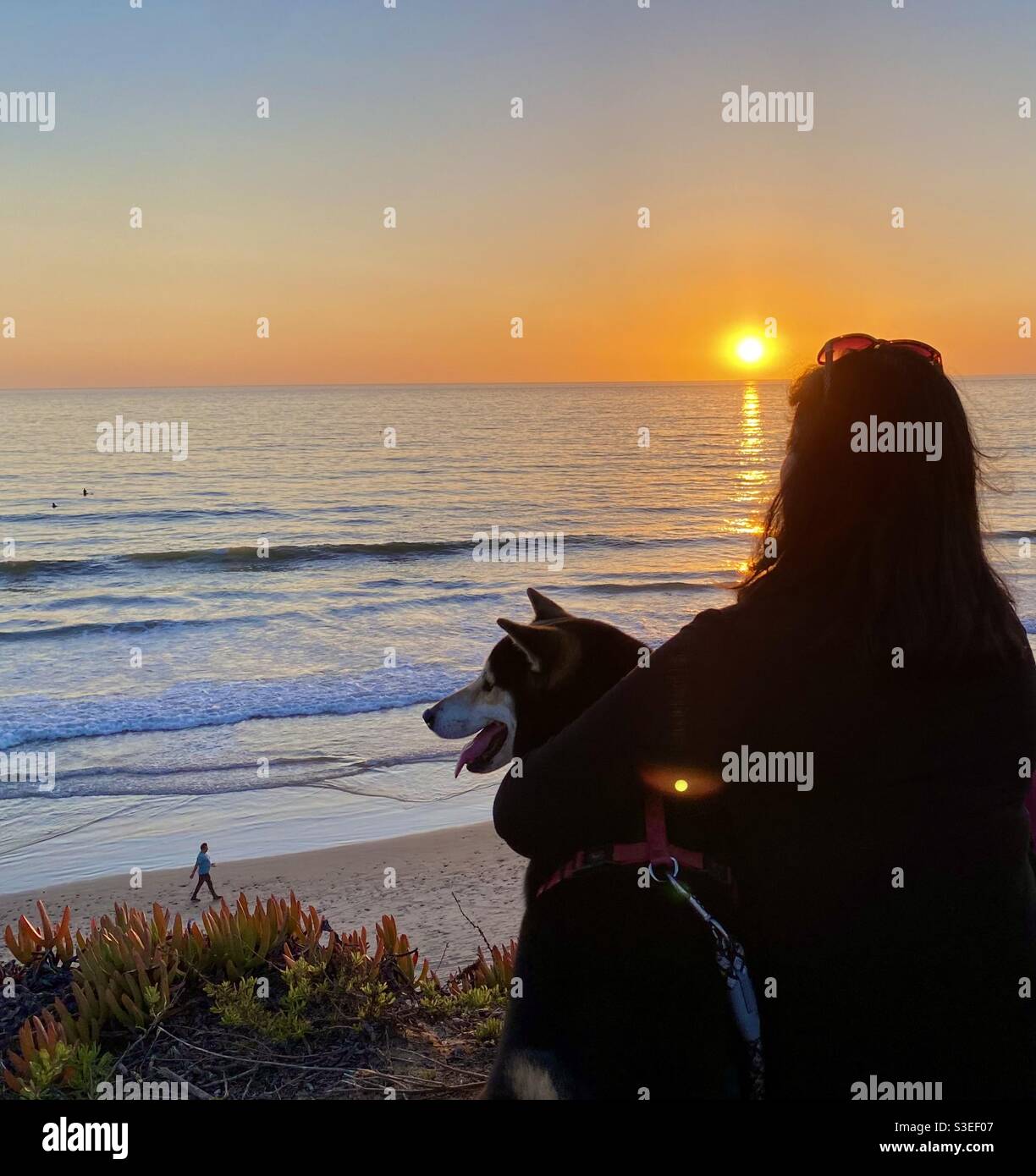 Best buddy hi-res stock photography and images - Alamy