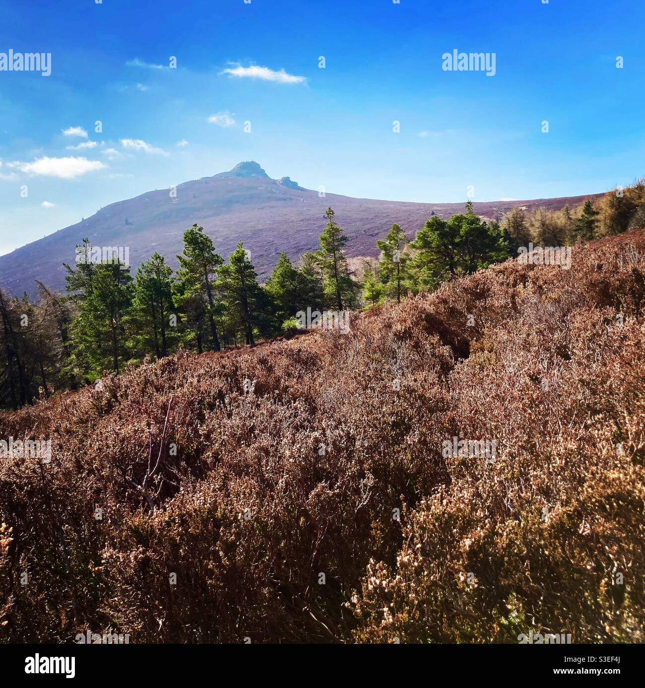 Bennachie hi-res stock photography and images - Alamy