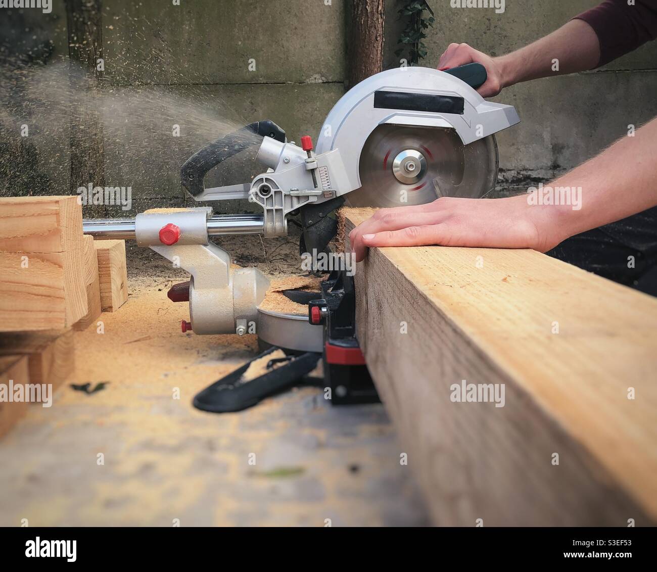 Circular buzz saw in action Stock Photo - Alamy