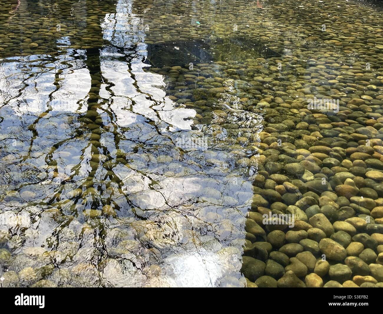 Elemental elements hi-res stock photography and images - Alamy