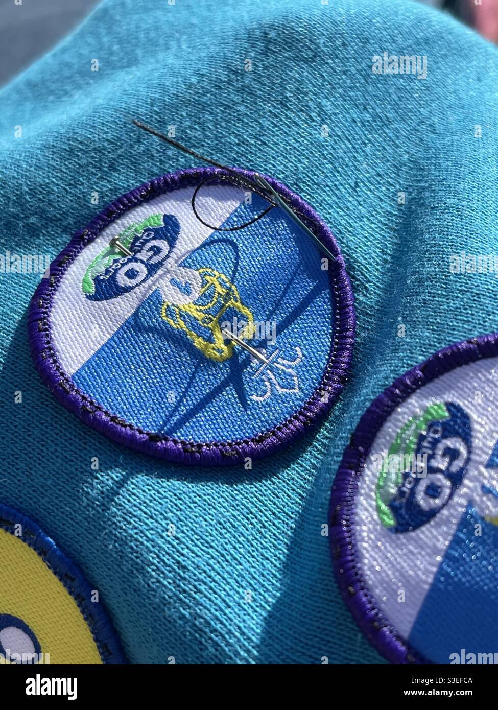 Beaver scouts hi-res stock photography and images - Alamy