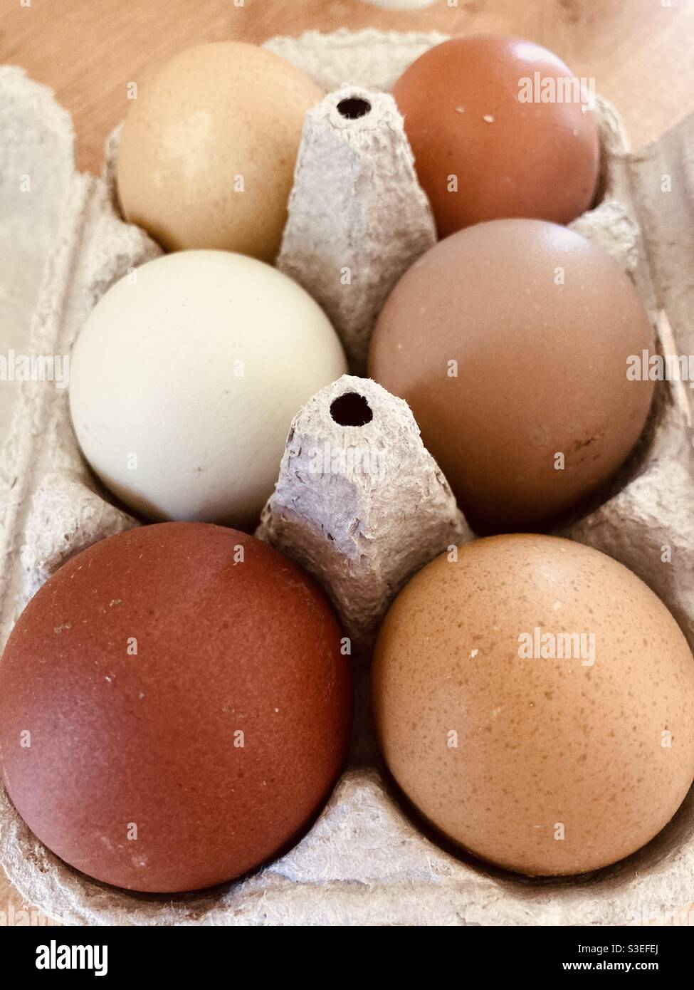 Freshly laid chicken eggs hi-res stock photography and images - Alamy