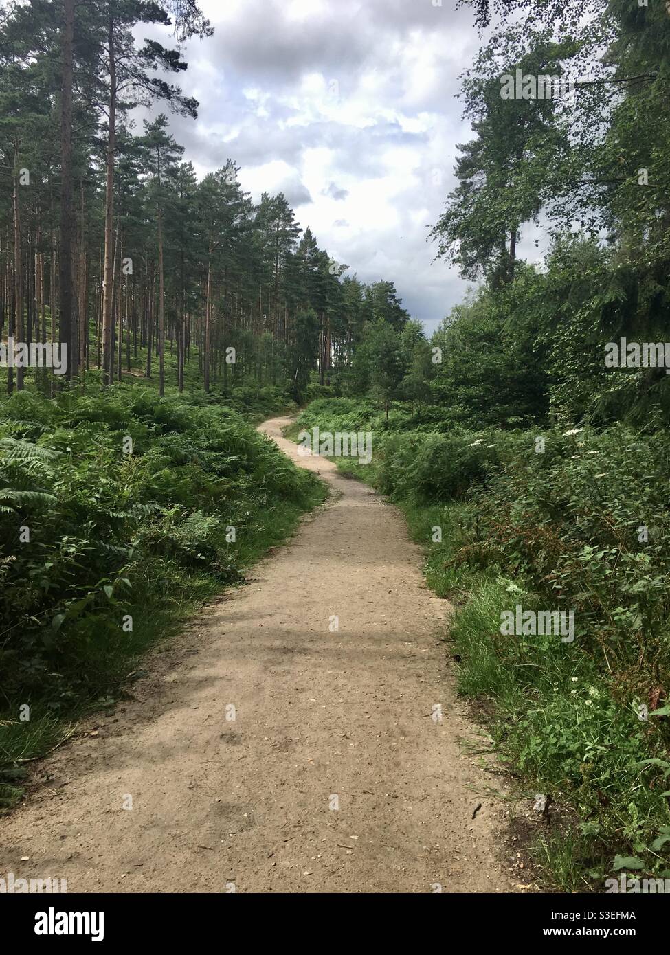 Walk trail path hi-res stock photography and images - Alamy