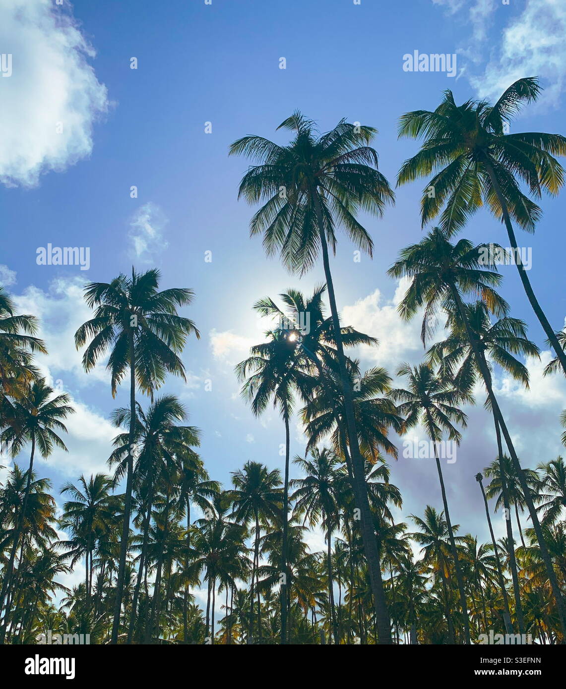 Praia do sol hi-res stock photography and images - Alamy