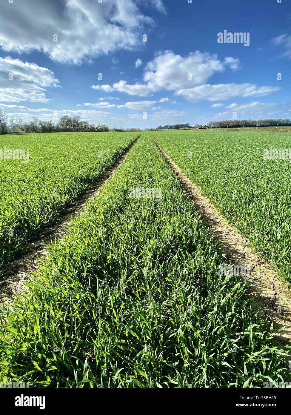 Spring crop hi-res stock photography and images - Alamy