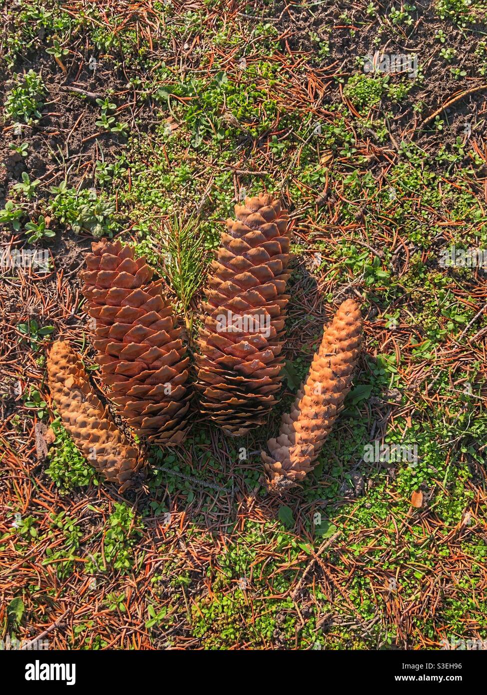 Earth cones hi-res stock photography and images - Alamy