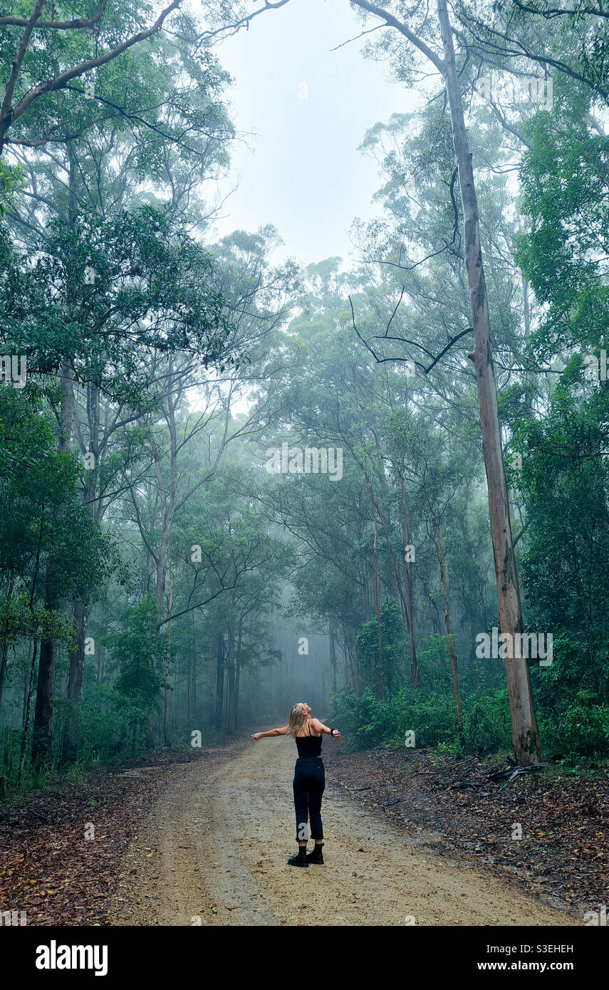 Rainy forest hi-res stock photography and images - Alamy