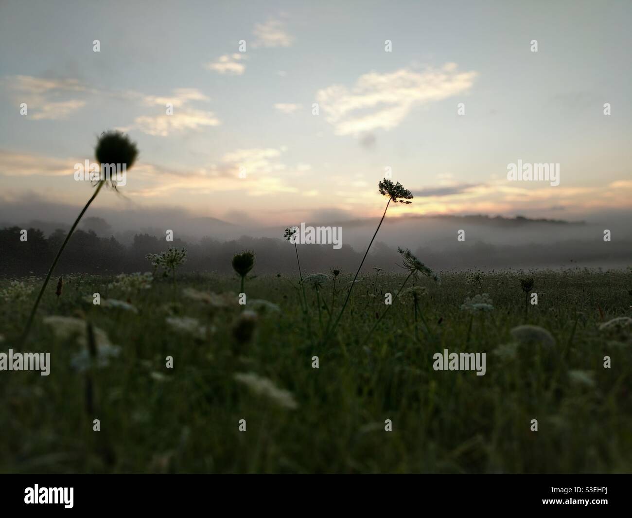 Pennsylvania field hi-res stock photography and images - Alamy