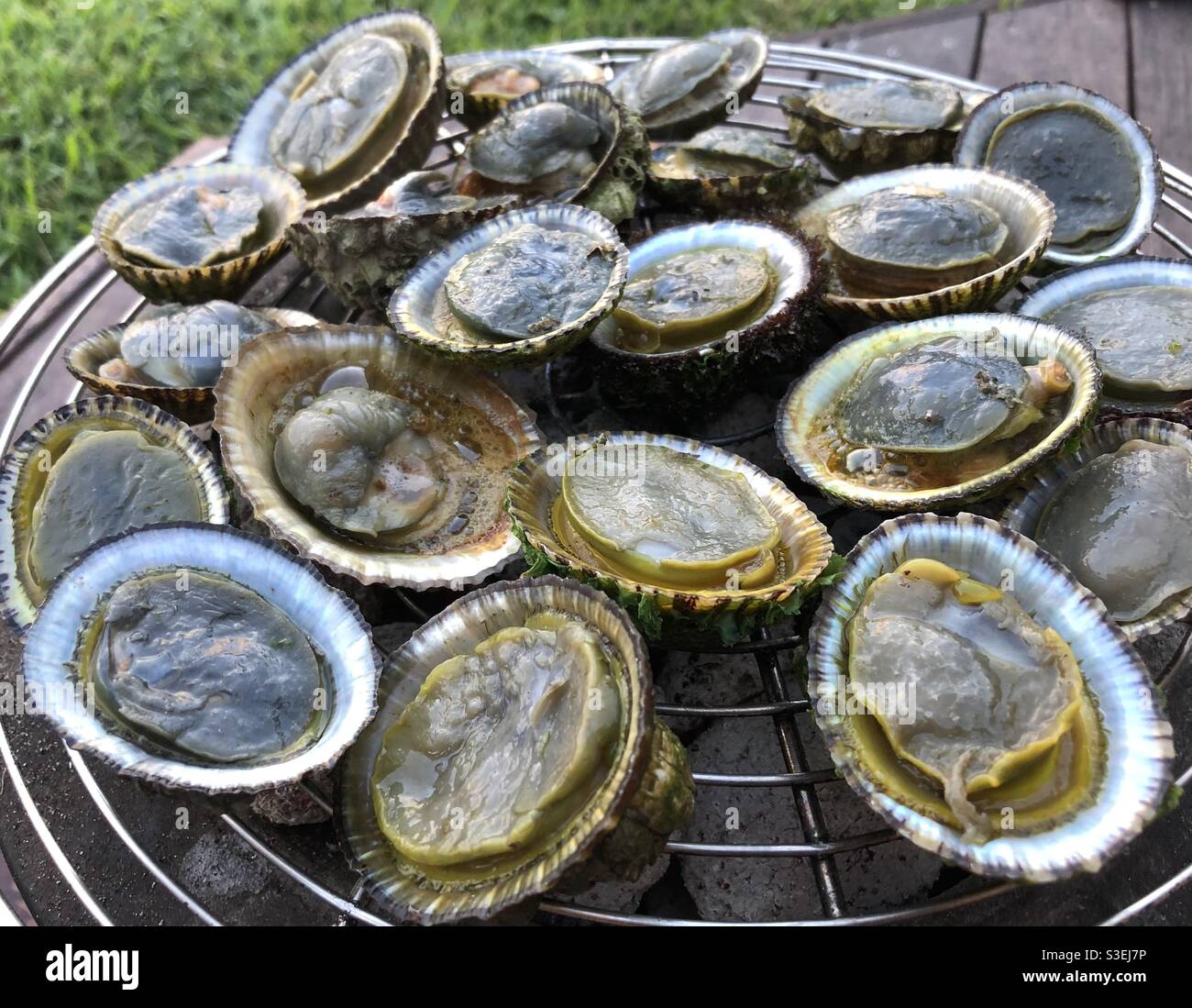 Healthy bbq hi-res stock photography and images - Alamy