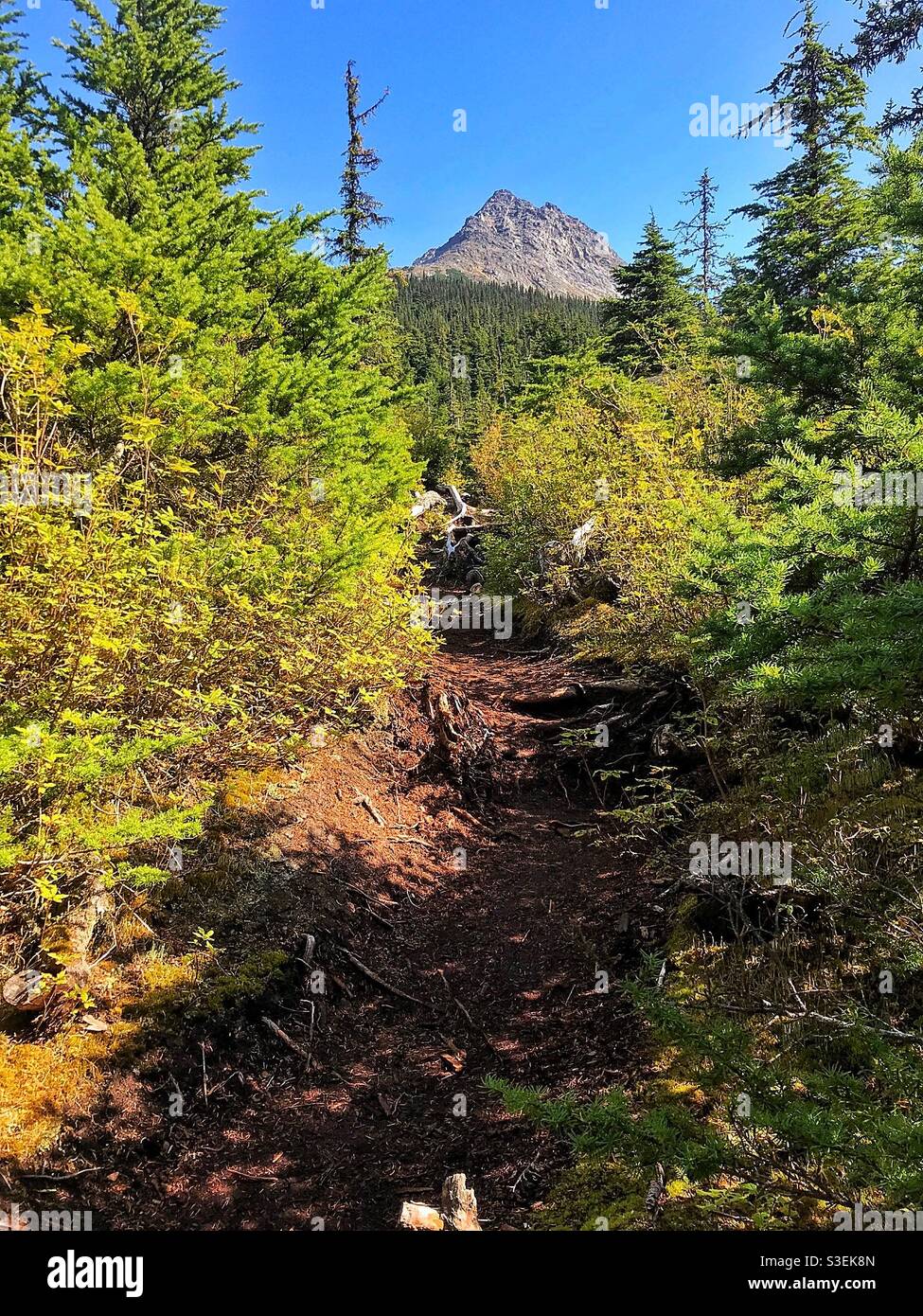 Rough trails hi-res stock photography and images - Alamy