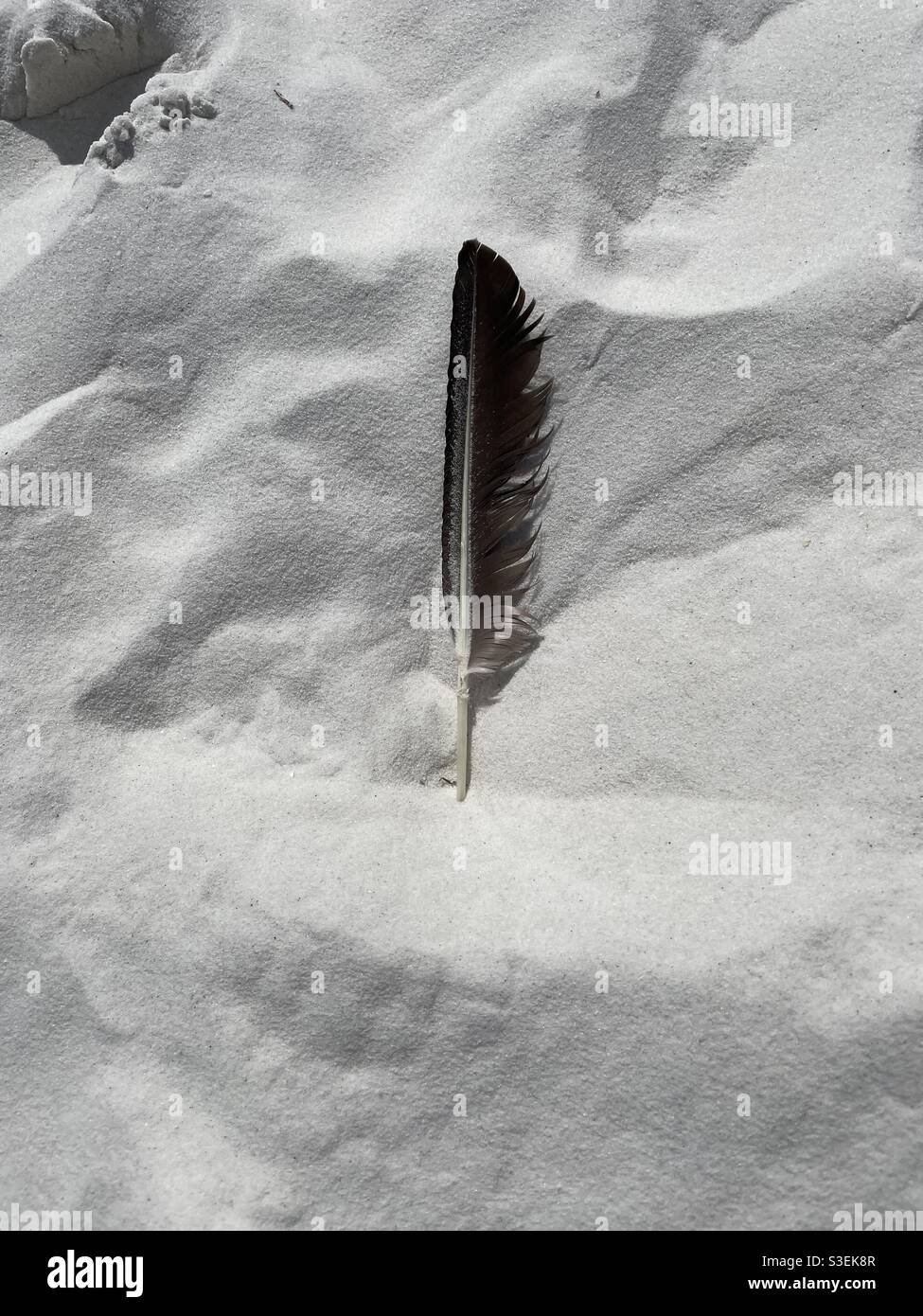 White sand beach background hi-res stock photography and images - Alamy