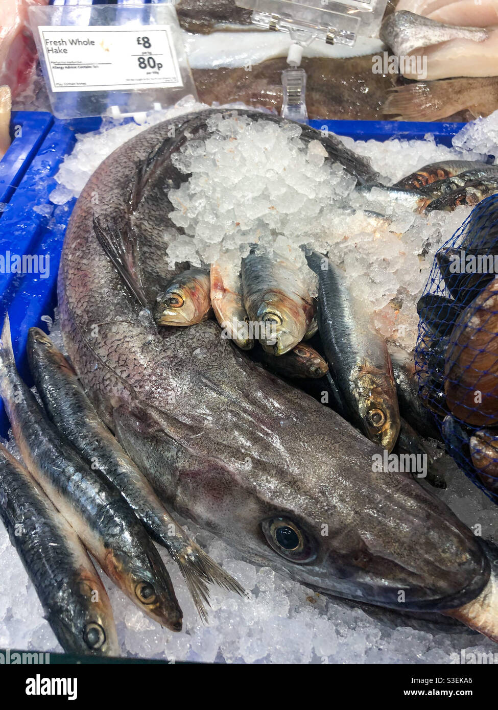 Iced fish on sale at a fishmonger stall Stock Photo - Alamy