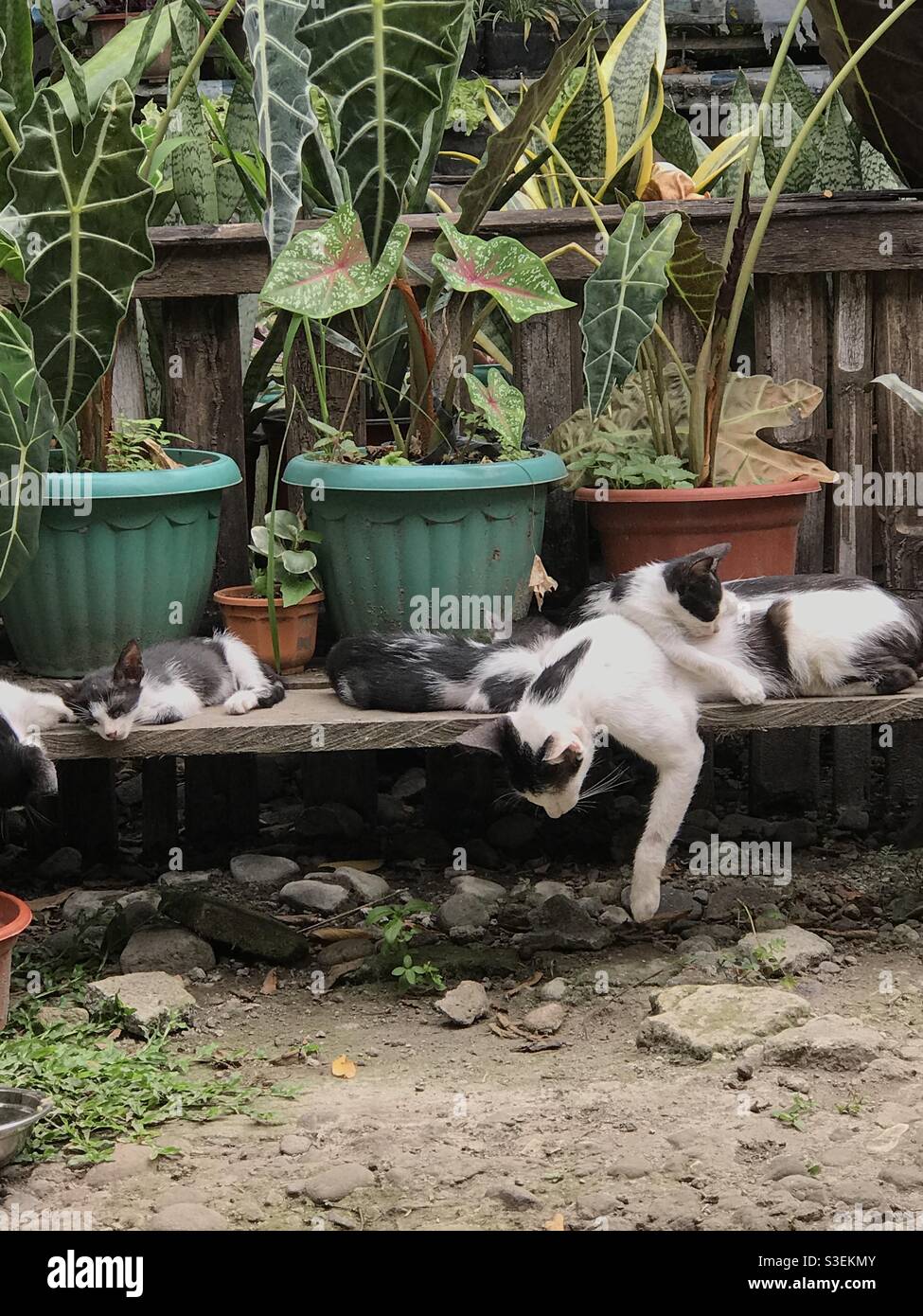 Daily struggles hi-res stock photography and images - Alamy