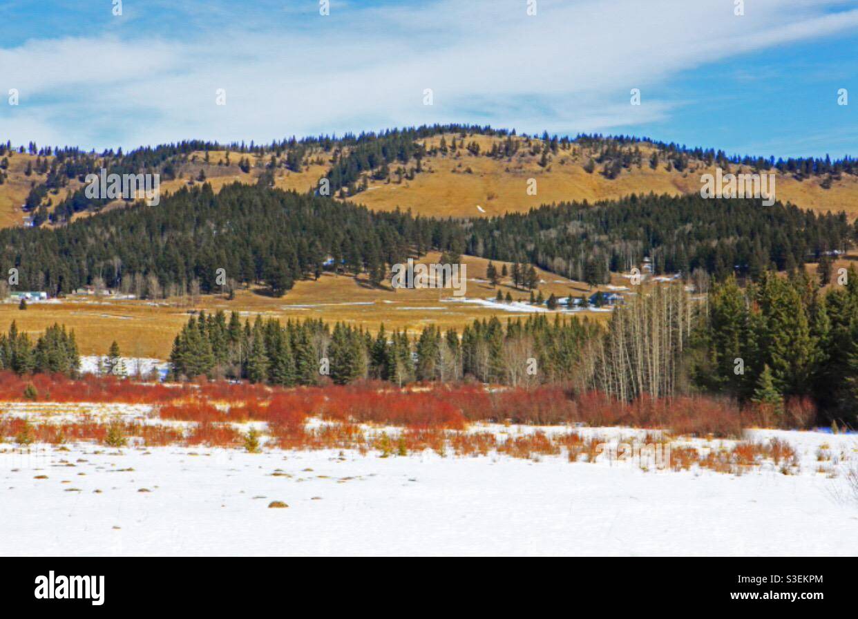 Wildcat hills hi-res stock photography and images - Alamy