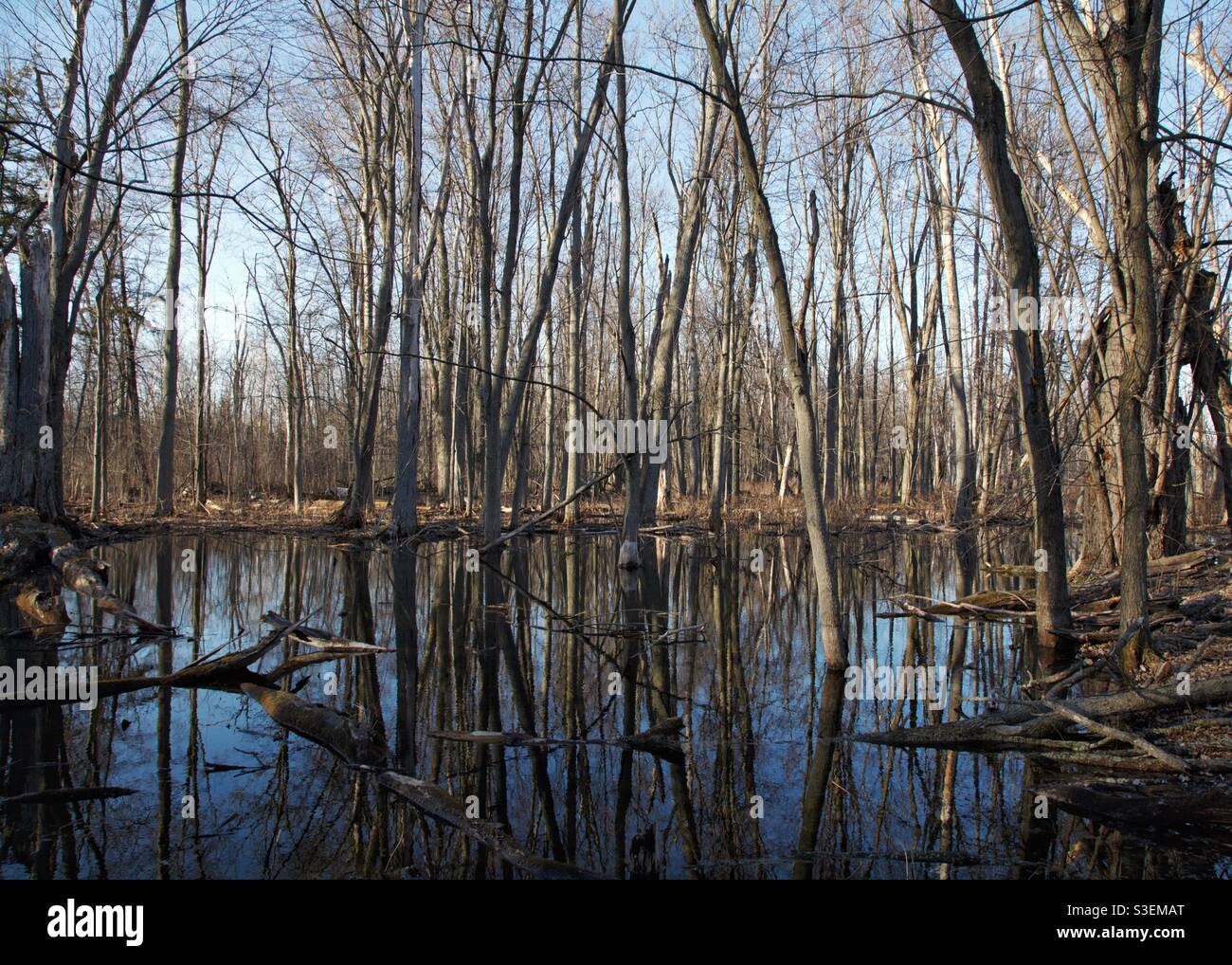 Swamplands High Resolution Stock Photography and Images - Alamy