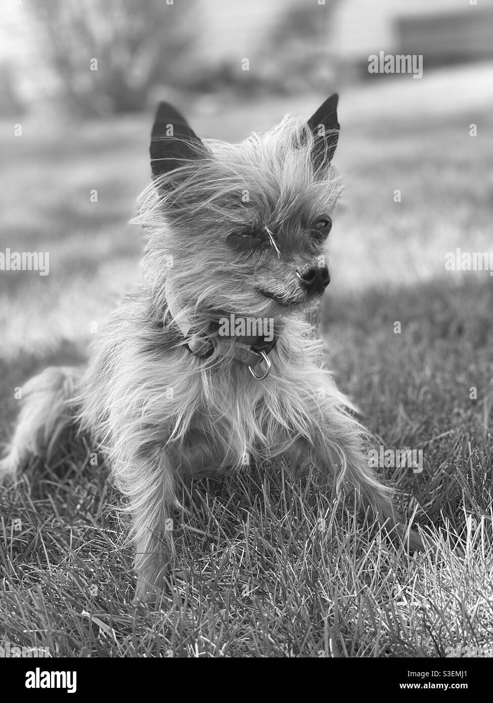 Patience Black and White Stock Photos & Images - Alamy