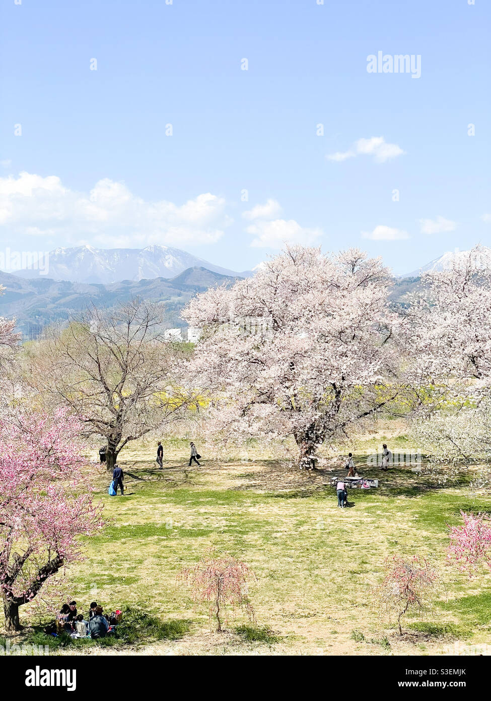 Nice spring weather hi-res stock photography and images - Alamy