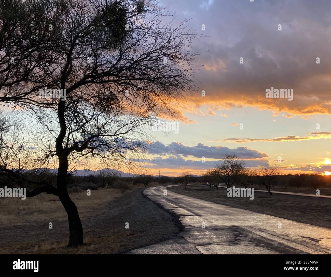 Catalina State Park Arizona Stock Photo - Alamy