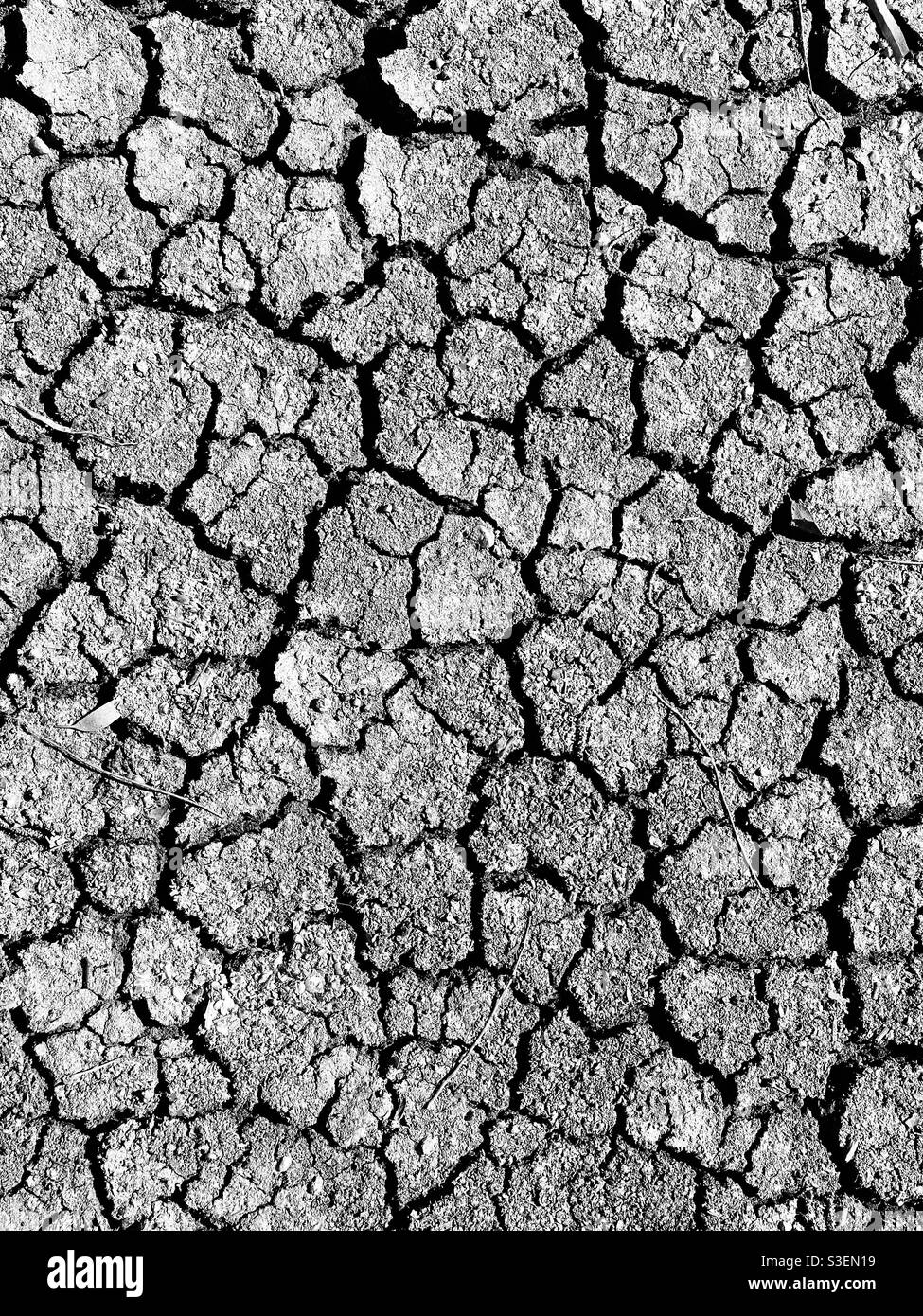 View from above of cracked earth, mud that has dried after recent rain ...