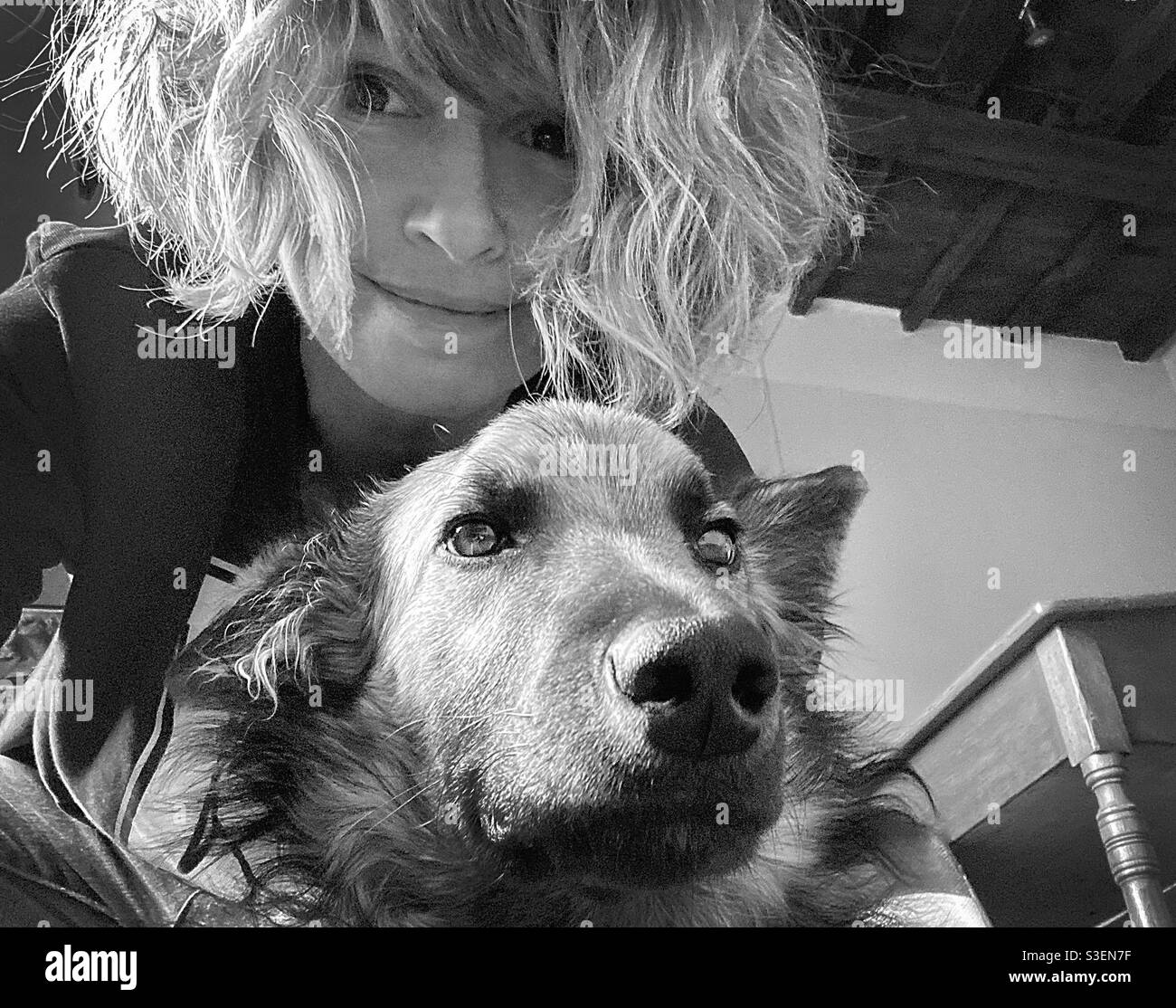 Bw dog hi-res stock photography and images - Alamy