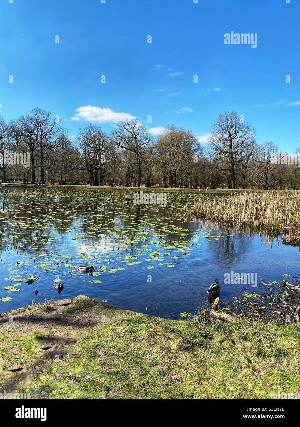 Nt parkland hi-res stock photography and images - Alamy