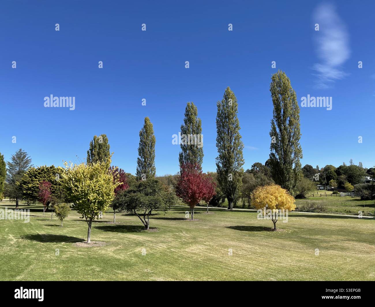 Tenterfield australia hi-res stock photography and images - Alamy