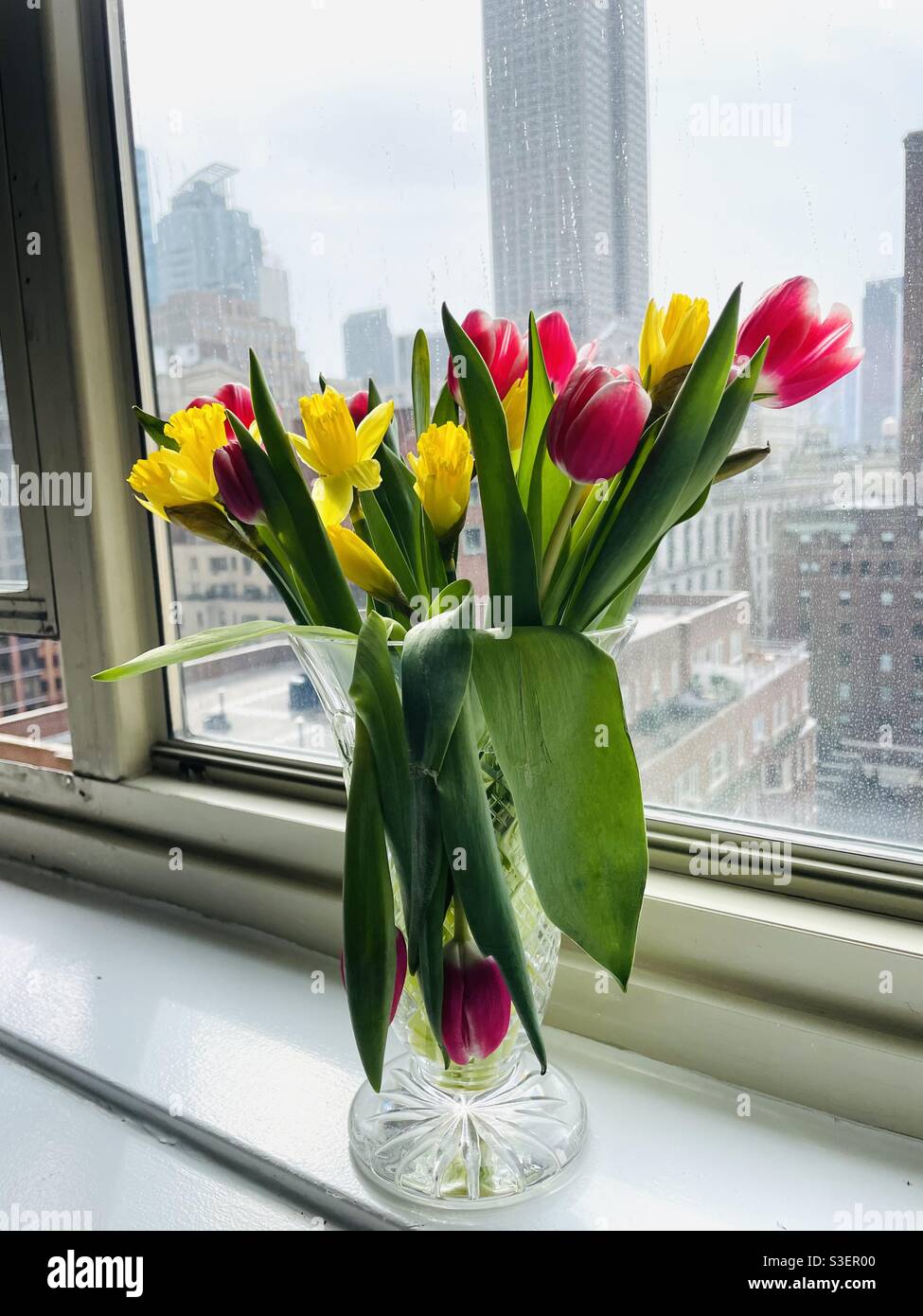 Cheerful flowers hi-res stock photography and images - Alamy