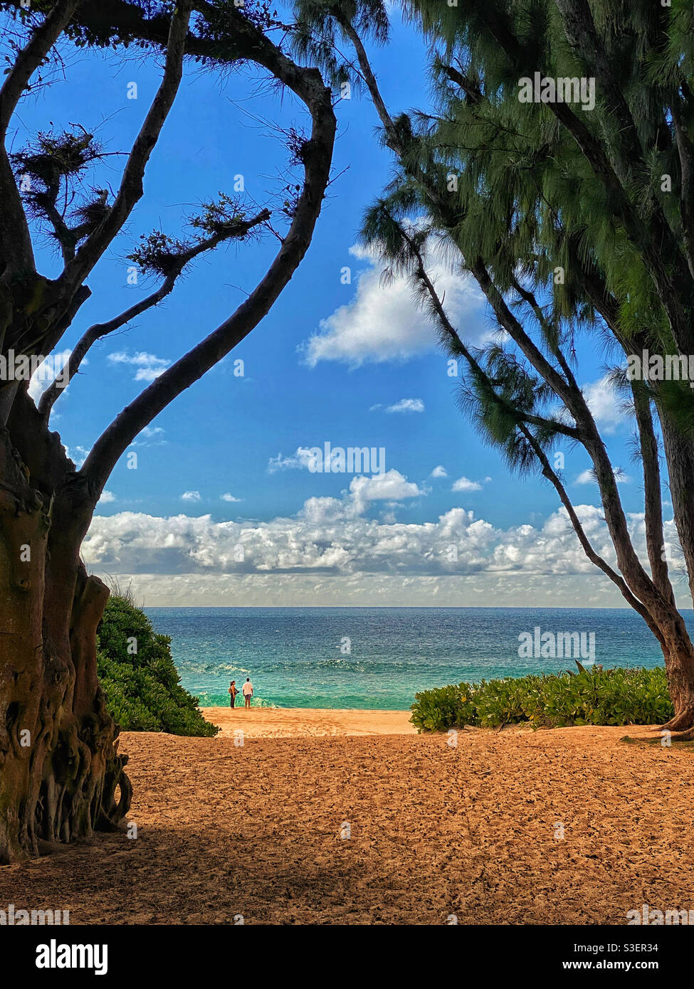 Couple viewed through tree branches on Sunset Beach on the North Shore ...