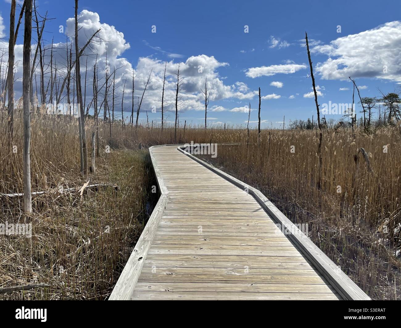 Wetlands boardwalk hi-res stock photography and images - Alamy