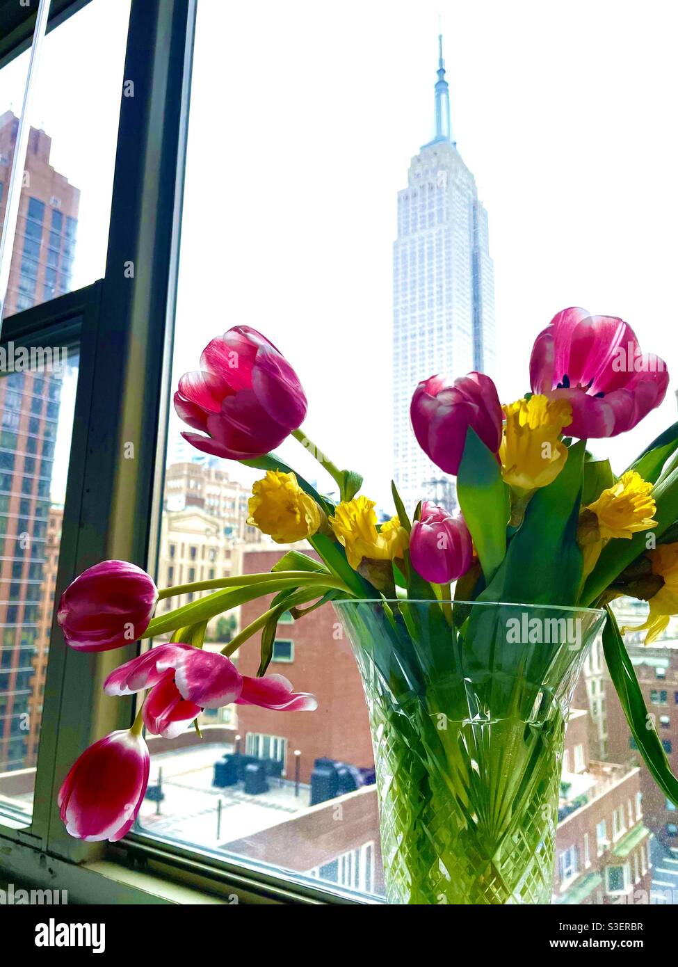 Flowers in a window Stock Photo - Alamy