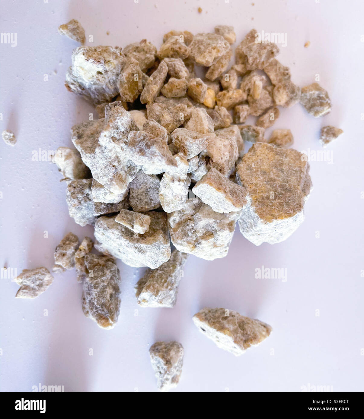 Benzoin tree hi-res stock photography and images - Alamy