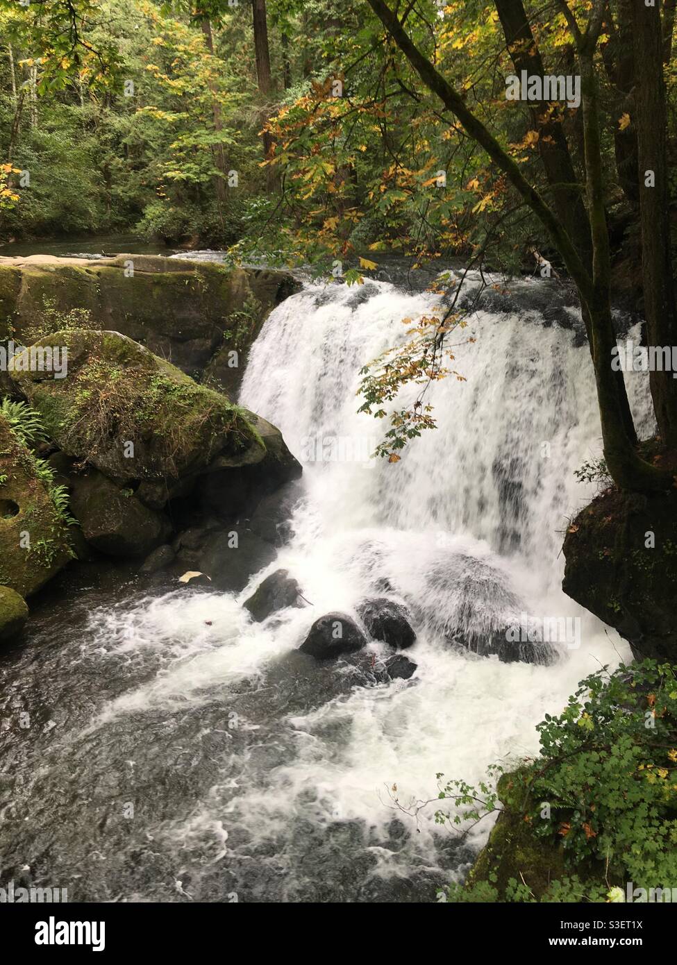 Whatcom park hi-res stock photography and images - Alamy